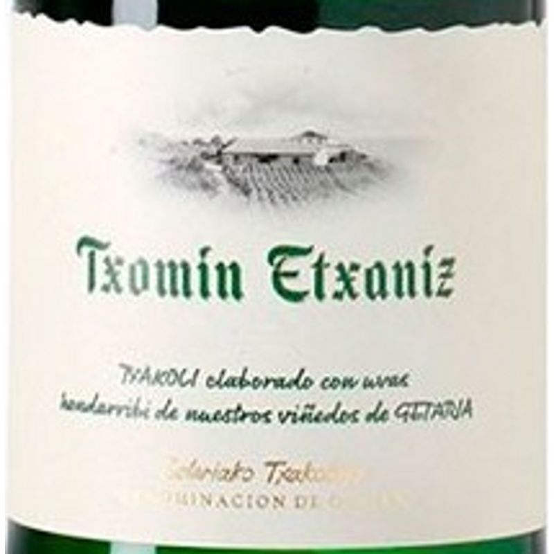 Txomin Etxaniz Txakoli 2022 - Chateau Cellars